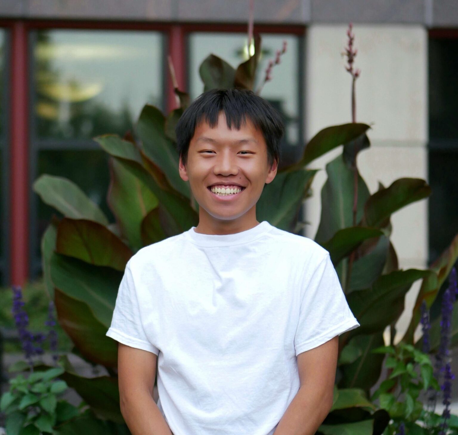 Meet the FFWS Team – UW-Madison Undergraduate Advising – UW–Madison